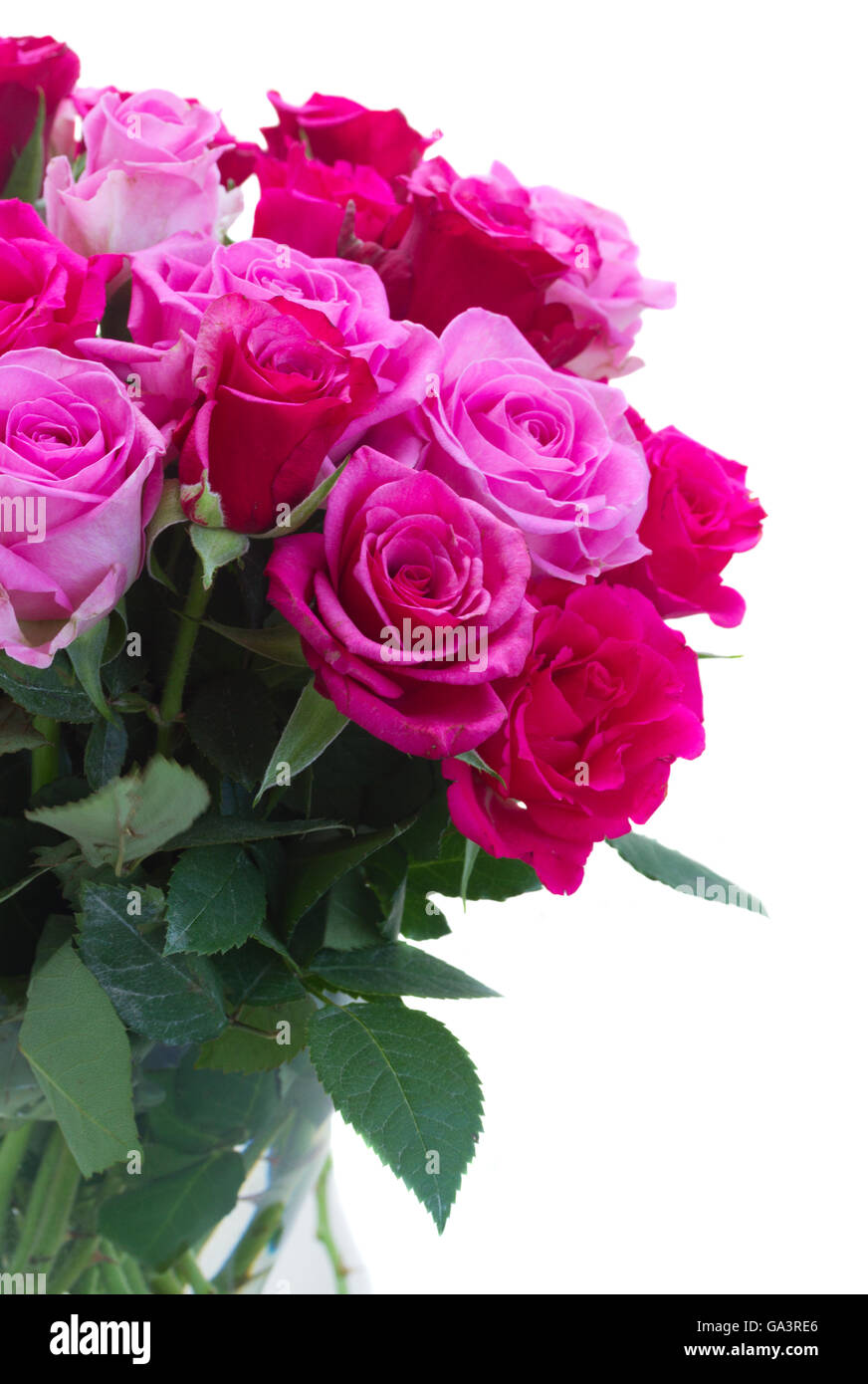 bouquet of fresh pink roses Stock Photo - Alamy