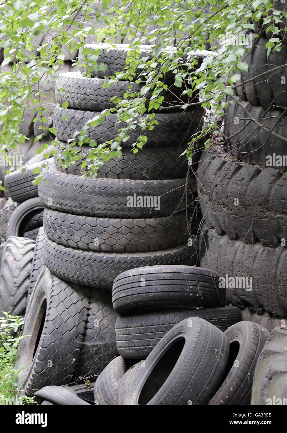 dumping of tires on the wheels in the open air. environmental problem ...