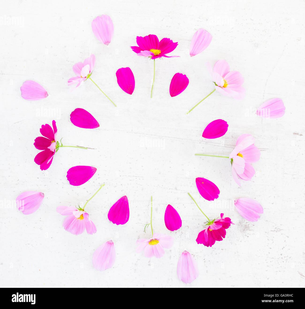 Cosmos flower wreath hi-res stock photography and images - Alamy