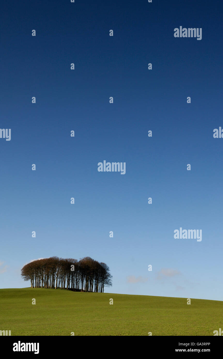 Trees a30 hi-res stock photography and images - Alamy