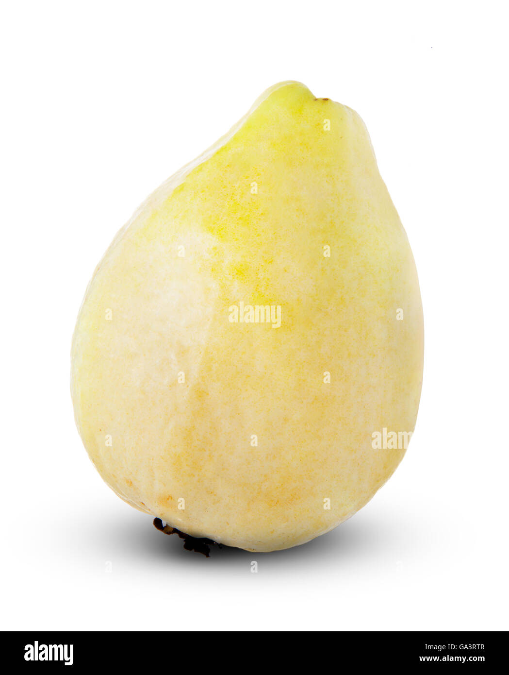 One Guava Fruit Isolated on White Background Stock Photo - Alamy