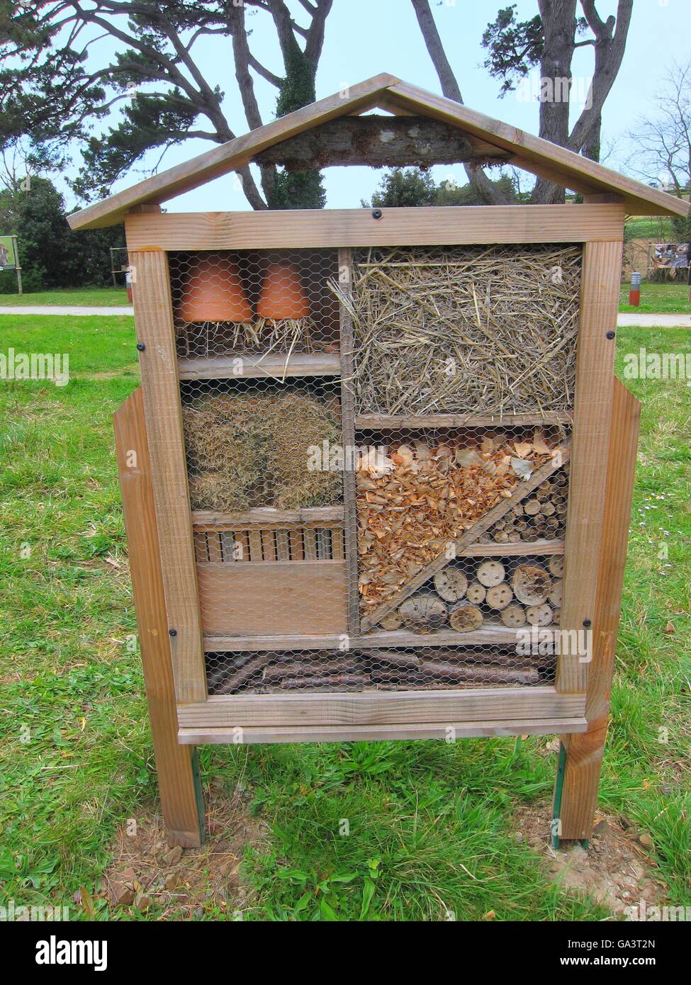 Shelter for insects Stock Photo - Alamy