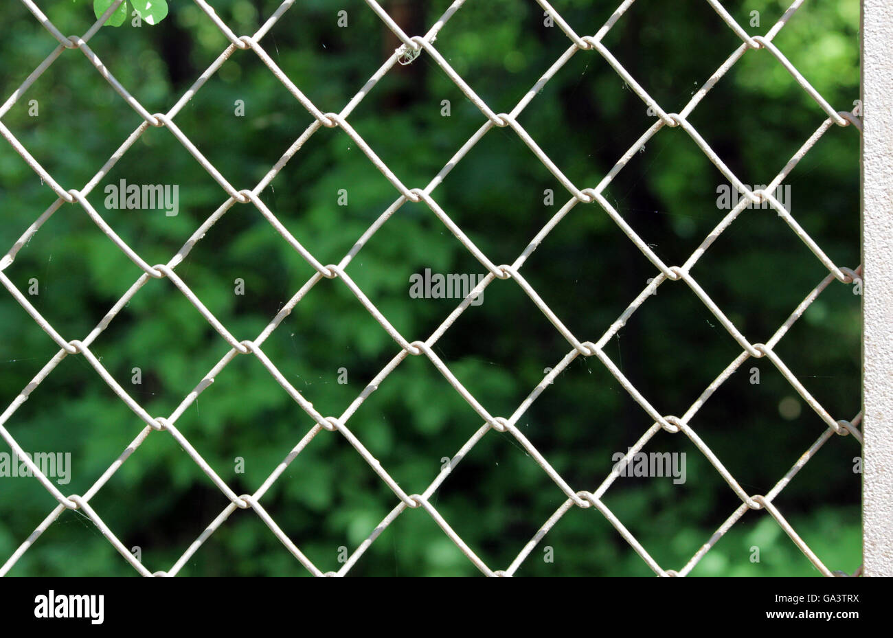 Texture mesh netting for a reticulate background Stock Photo - Alamy