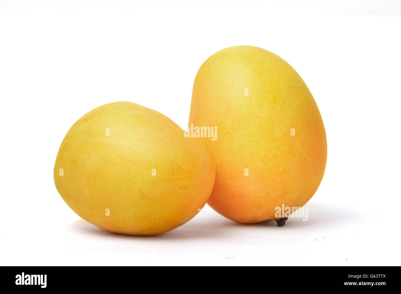 Yellow Mango Fruits Isolated on White Background Stock Photo - Alamy