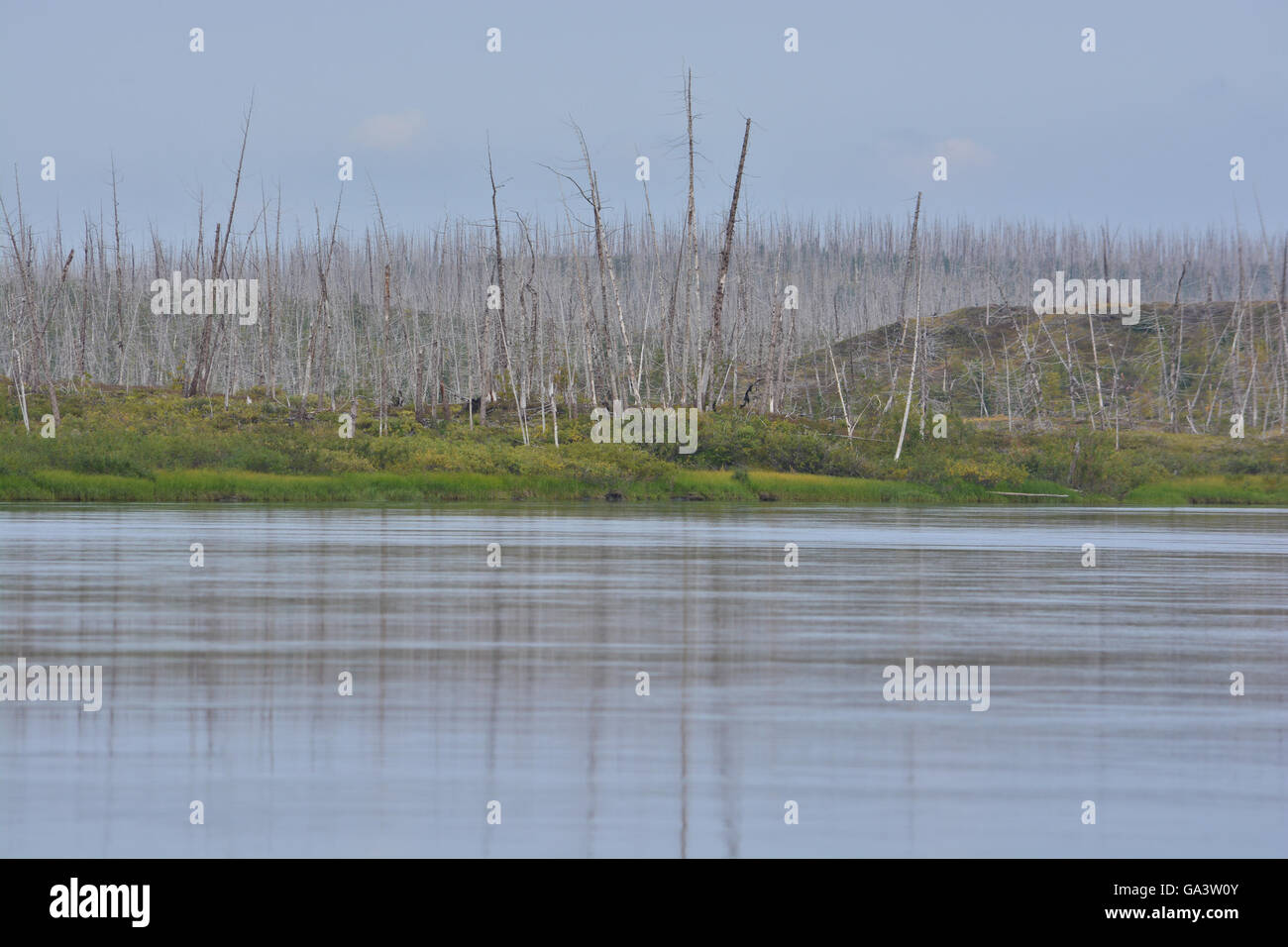 Acid Rain Effects On Lakes And Rivers