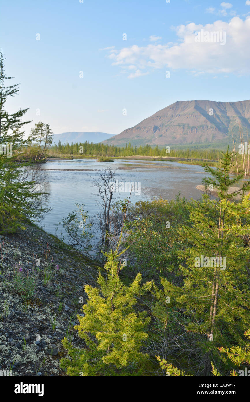 Muksun River, the Putorana plateau. Siberian river Summer landscape ...