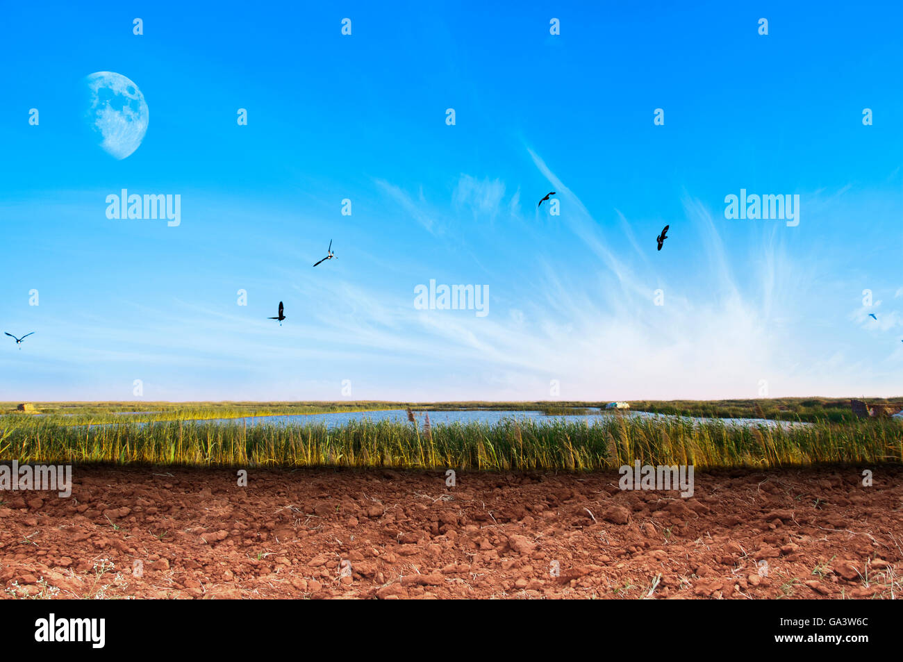 Perfect urban landscape hi-res stock photography and images - Alamy