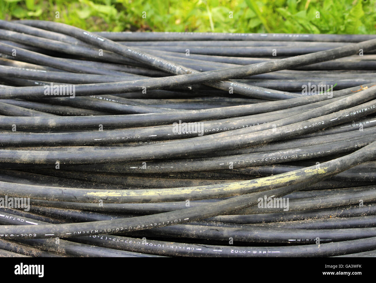 Fiber optic grass hi-res stock photography and images - Alamy