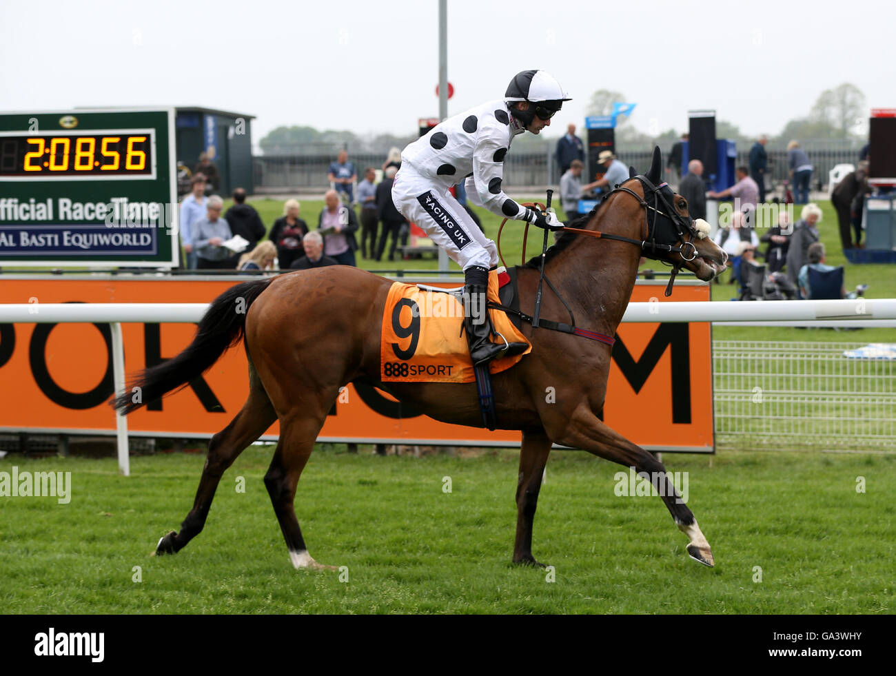 Hernandoshideaway ridden by Paul Mulrennan Stock Photo - Alamy