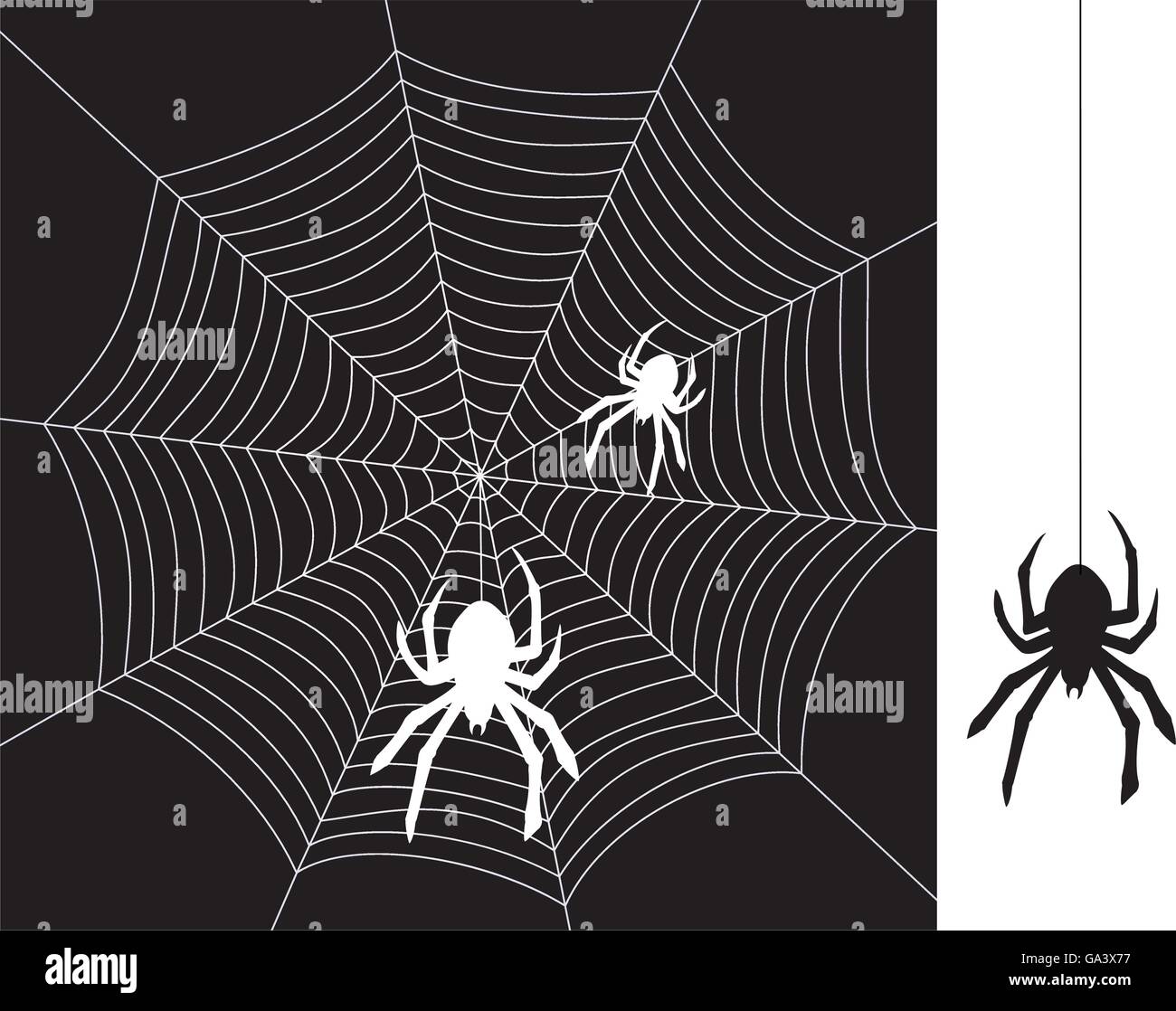 Spider catch insect Stock Vector Images - Alamy