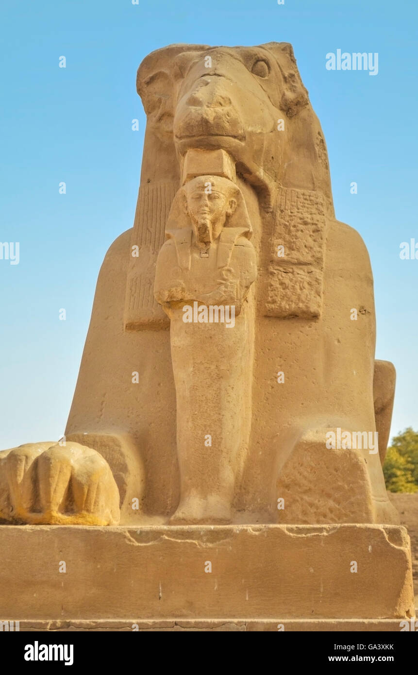 A Ram Headed Sphinx in the Avenue Leading up to the Ancient Egyptian ...
