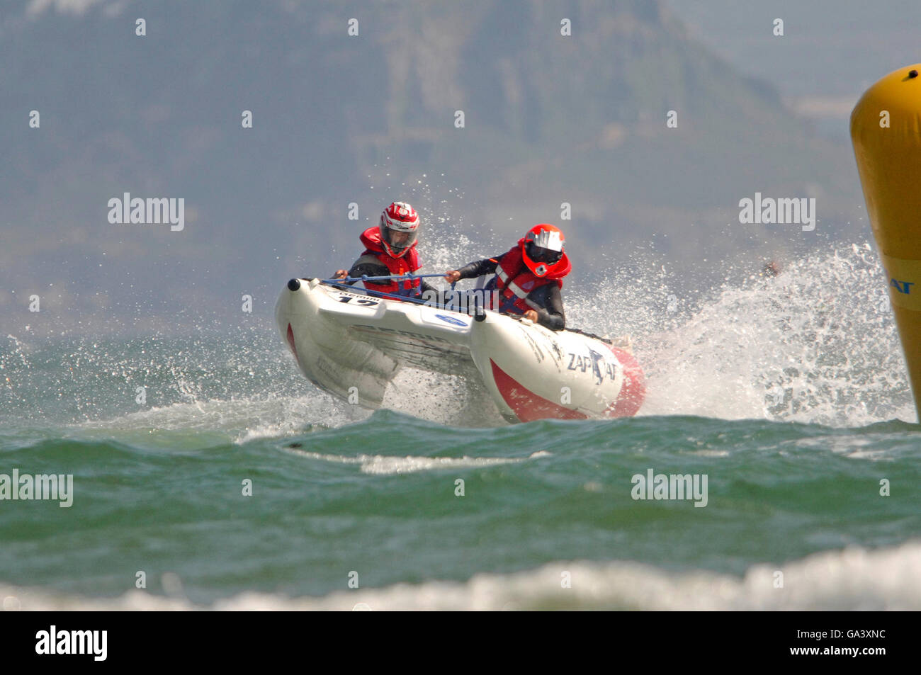 Zap cats hi-res stock photography and images - Alamy