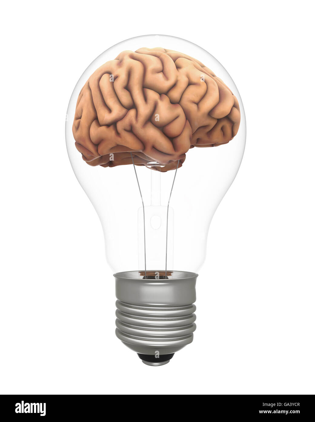 Light bulb human brain inside hi-res stock photography and images - Alamy