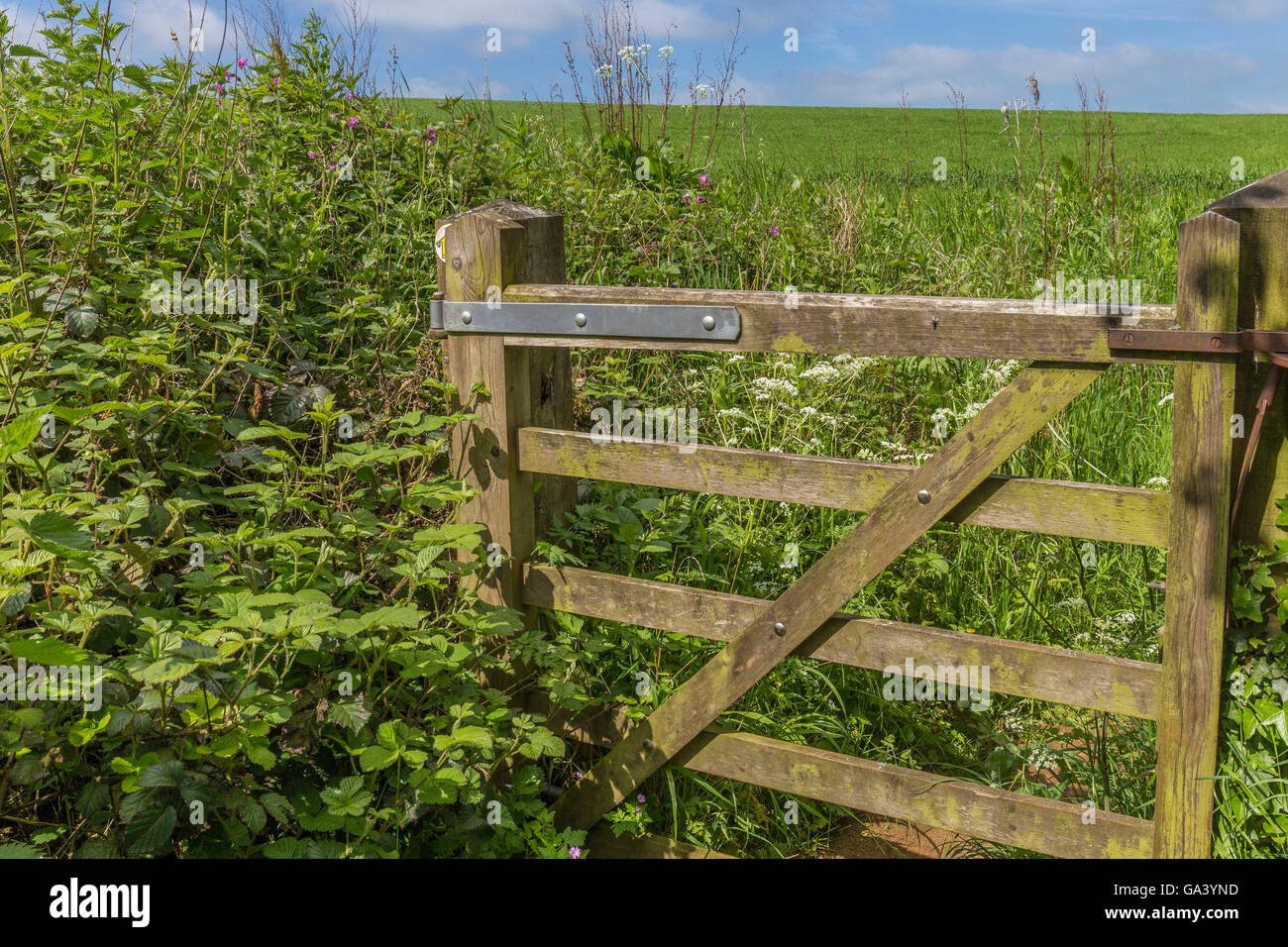 Power gate hi-res stock photography and images - Alamy