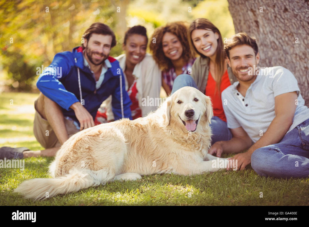 Group of happy friends sitting together with the dog Stock Photo - Alamy