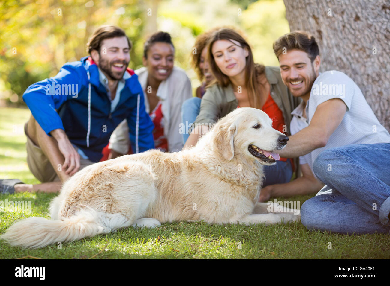 Group young friends dog hi-res stock photography and images - Alamy