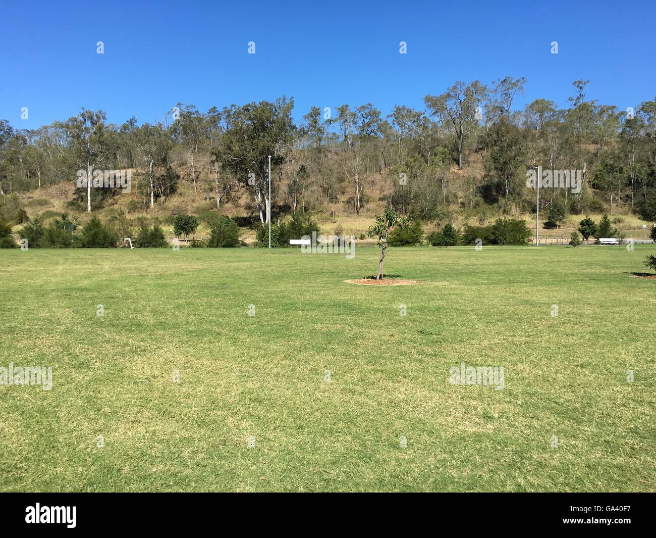 Field in a Park Stock Photo - Alamy