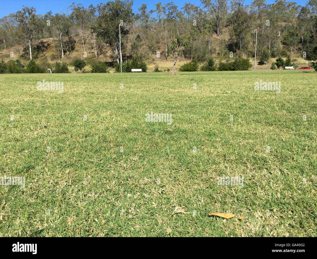 Field in a Park Stock Photo - Alamy