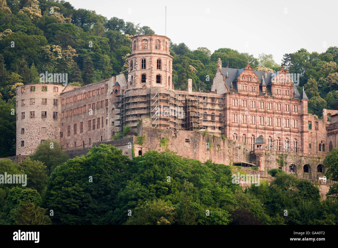 Heidelberg castle in the background hi-res stock photography and images ...