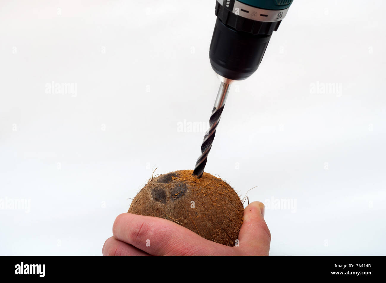 Drilling in to coconut on a white background Stock Photo - Alamy