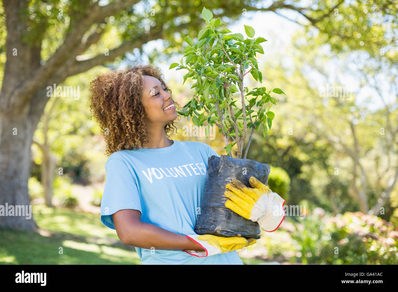 A volunteer woman holding plant Stock Photo - Alamy
