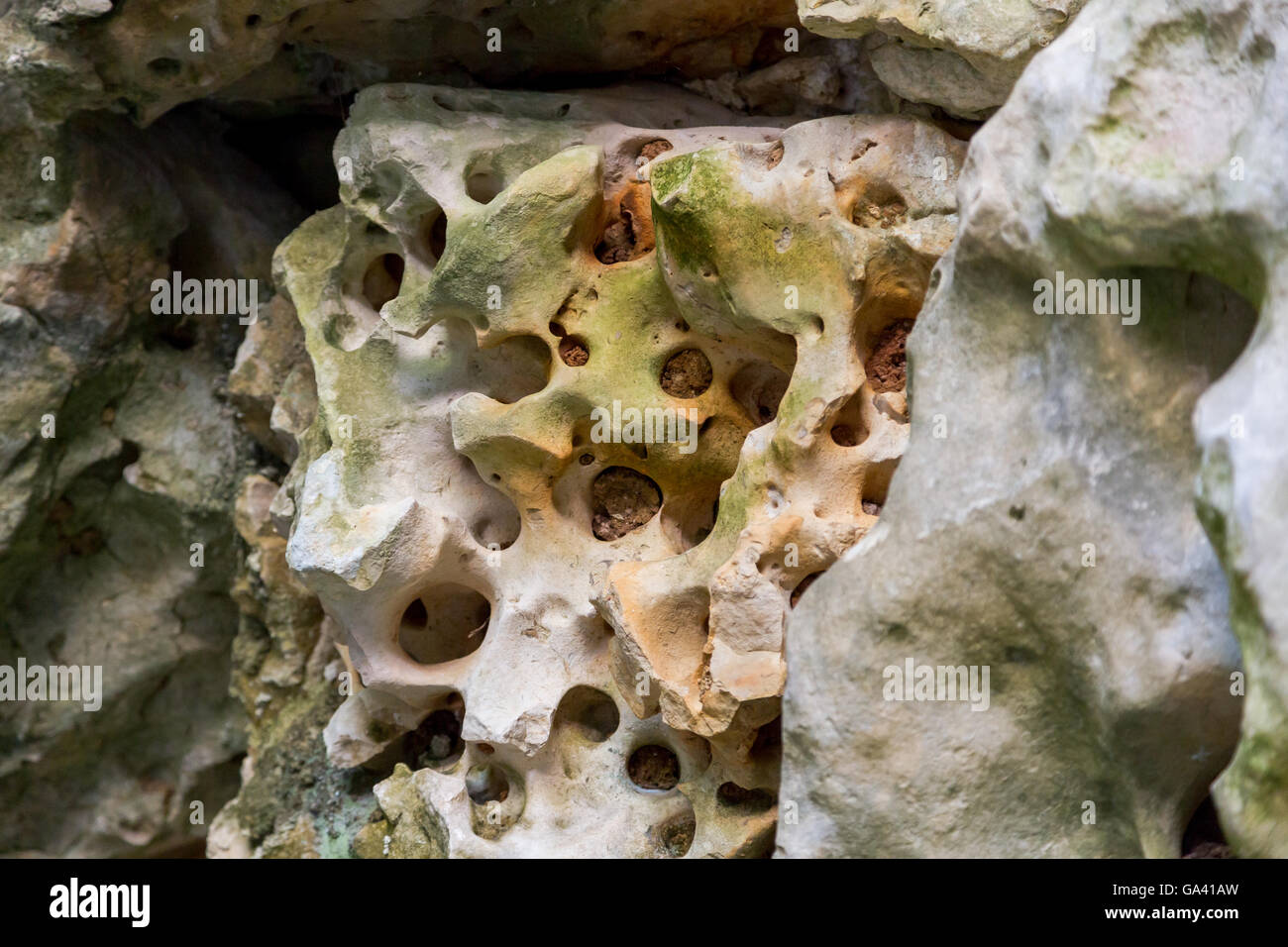 hard honeycomb volcanic stone background Stock Photo - Alamy