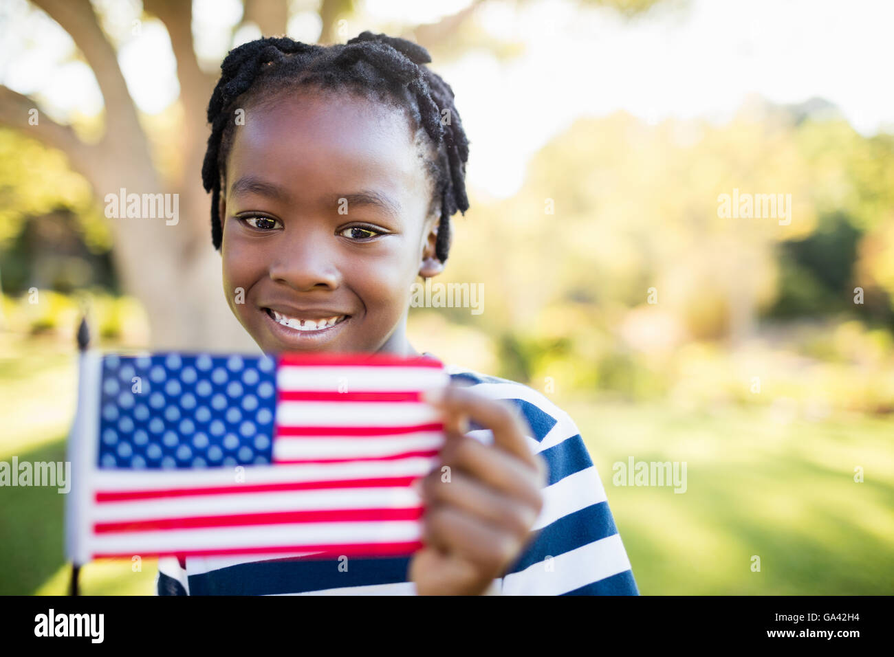 Usa flag with trees hi-res stock photography and images - Alamy