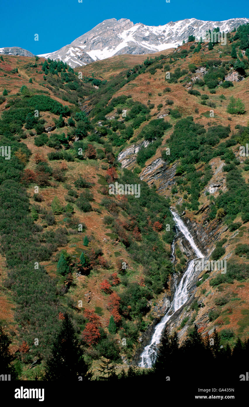 Brook mountain torrent hi-res stock photography and images - Alamy