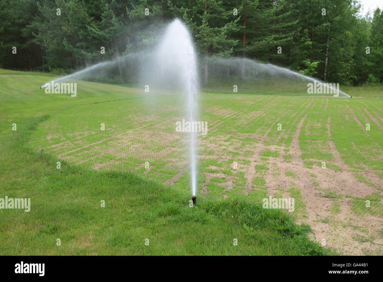 Sprinklers of automatic watering at golf course close up Stock Photo ...