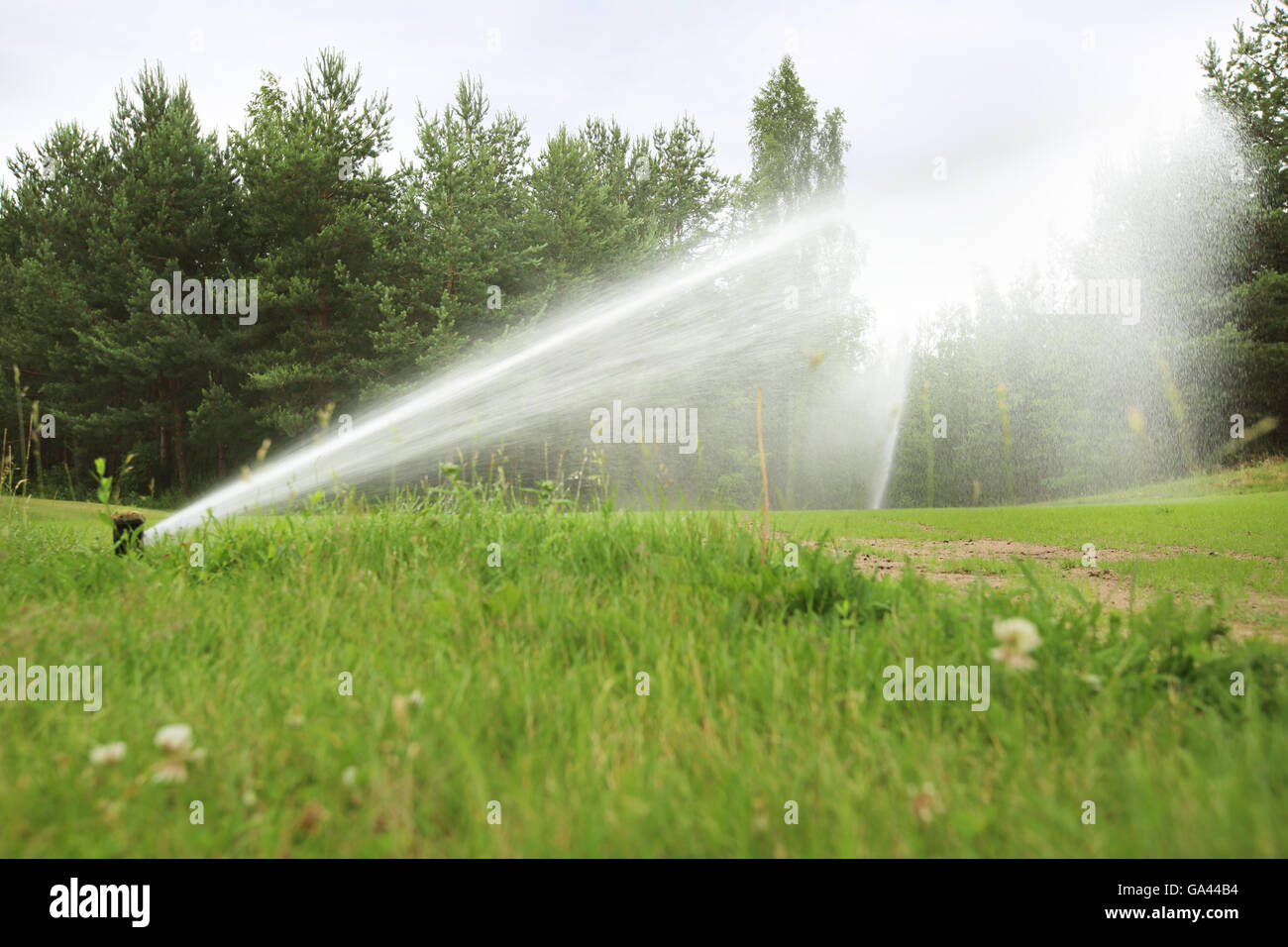 Sprinklers of automatic watering at golf course close up Stock Photo ...