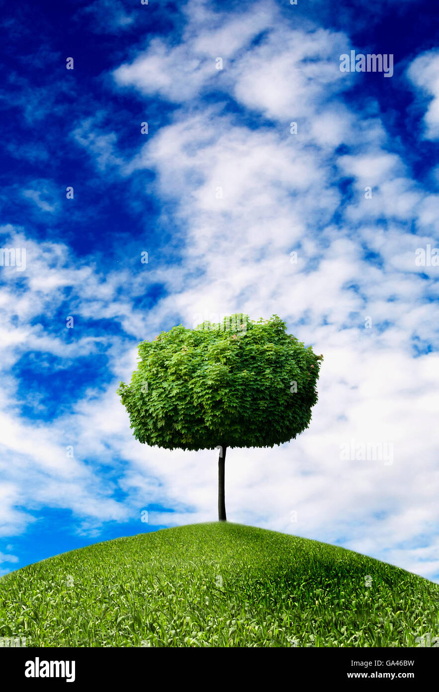 Tree at the top of a hill hi-res stock photography and images - Alamy