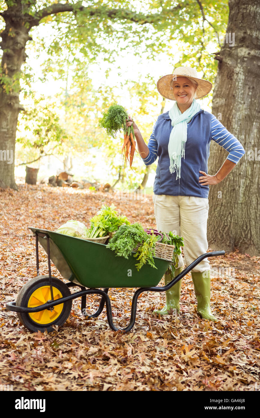 Wheelbarrow Vegetable Garden Gardening High Resolution Stock ...