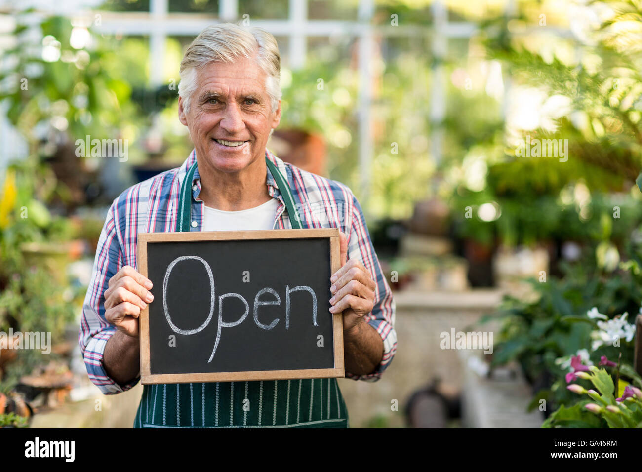 Mature owner holding open sign placard at greenhouse Stock Photo - Alamy