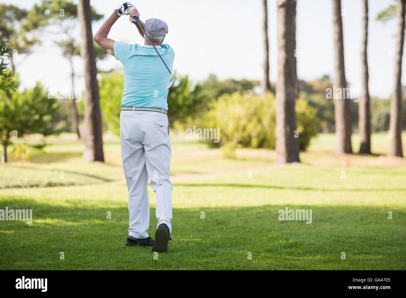 Golf player taking shot Stock Photo - Alamy