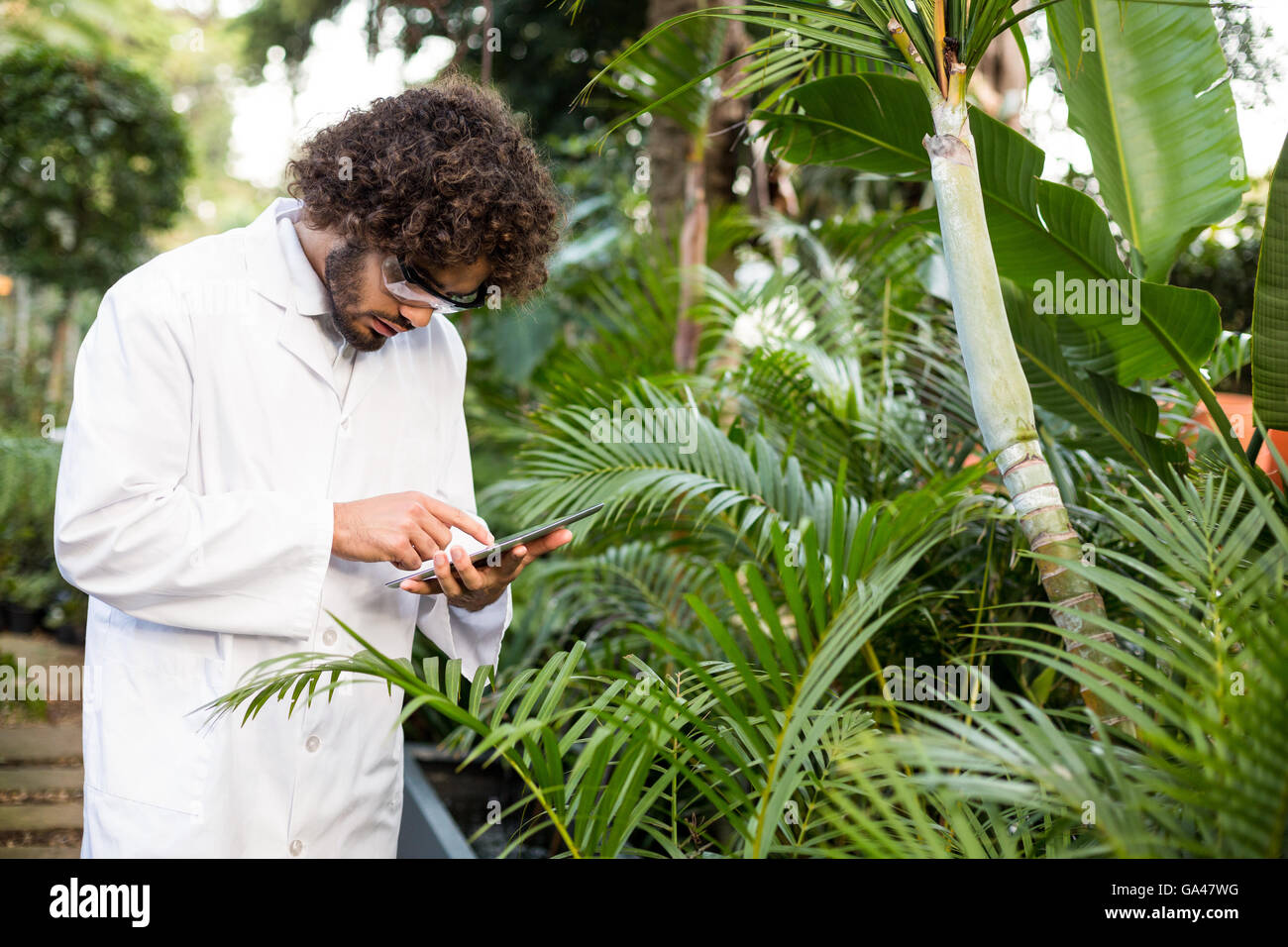 Scientist using digital tablet while examining plants Stock Photo - Alamy Scientist using digital tablet while examining plants Stock Photo - Alamy