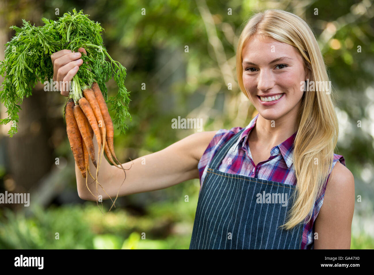 Building beautiful garden hi-res stock photography and images - Alamy