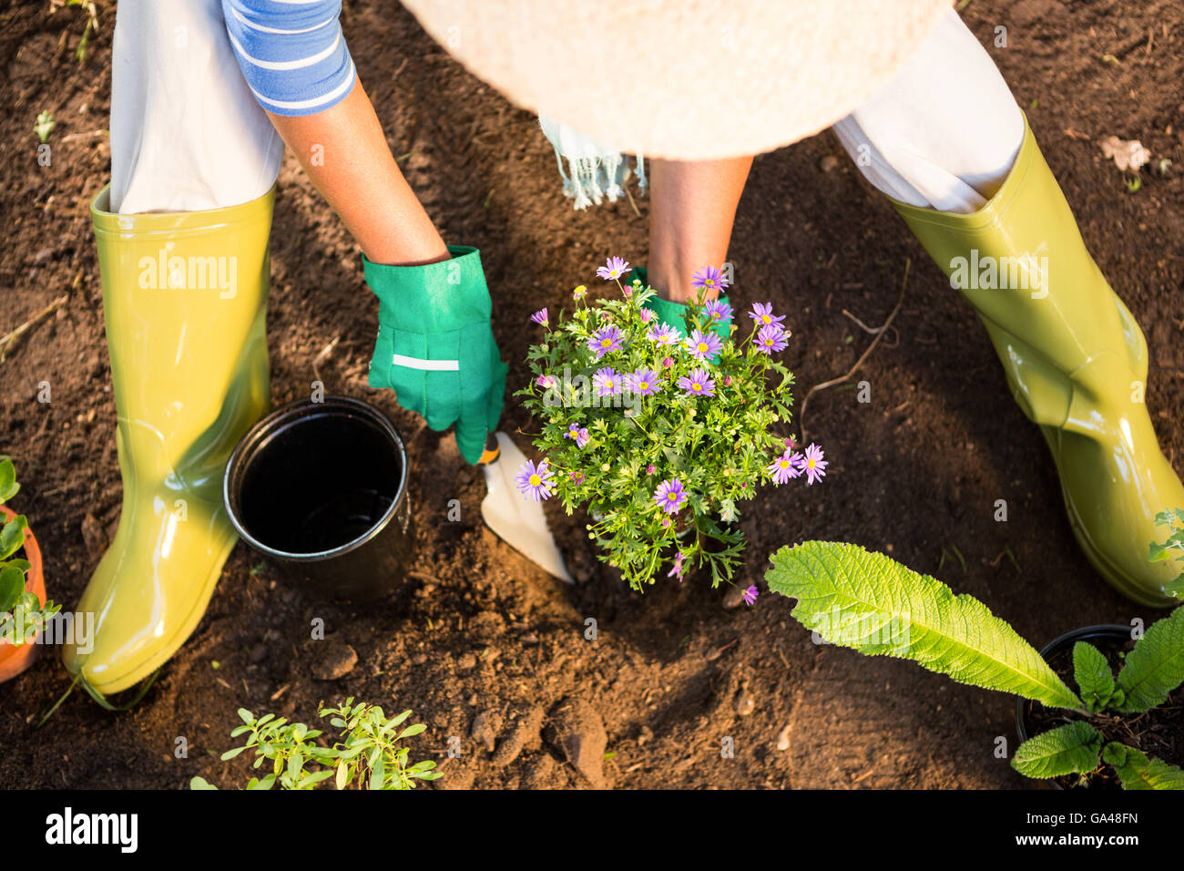 Using trowel hi-res stock photography and images - Alamy