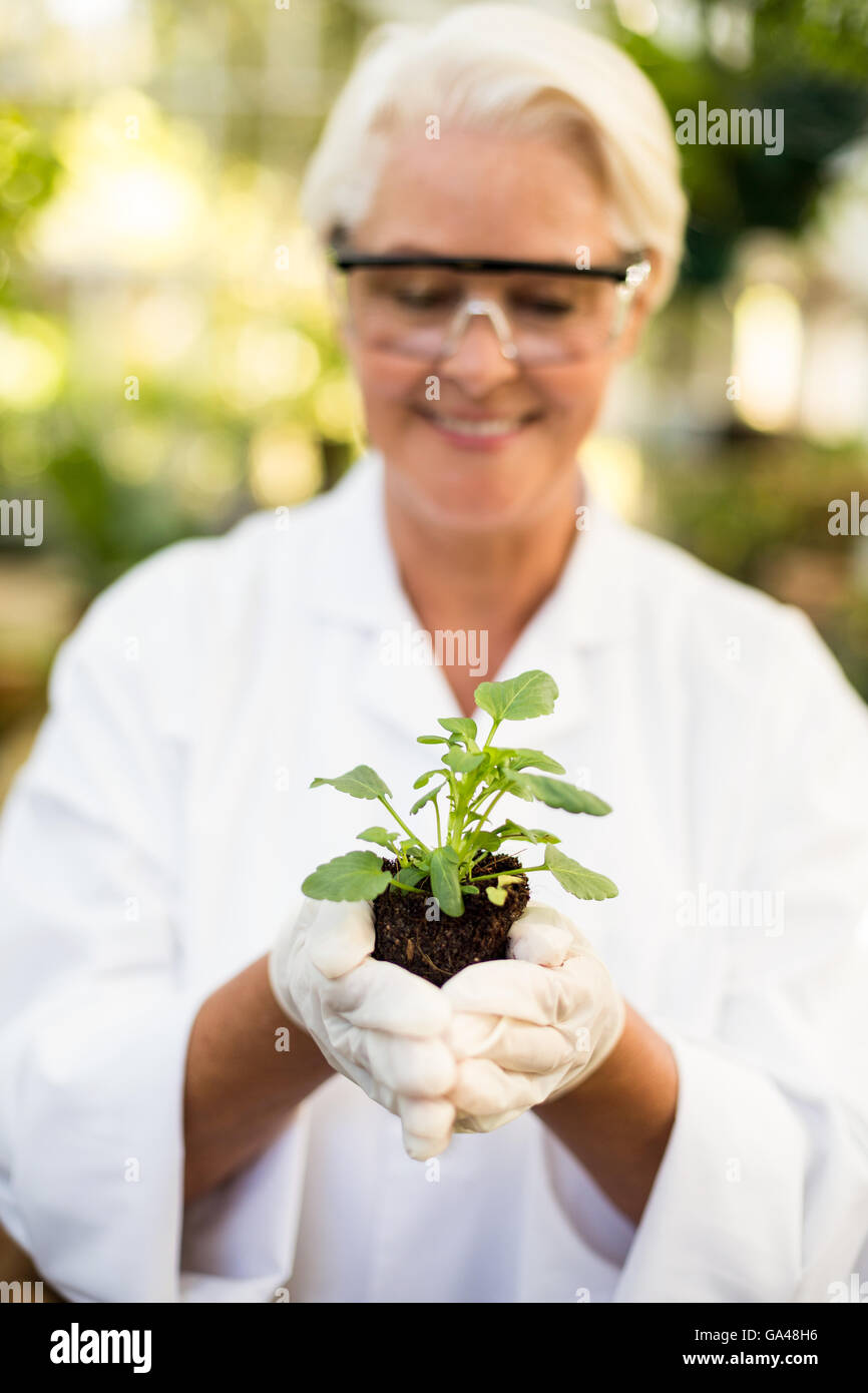 Female scientist smiling while holding plant Stock Photo - Alamy