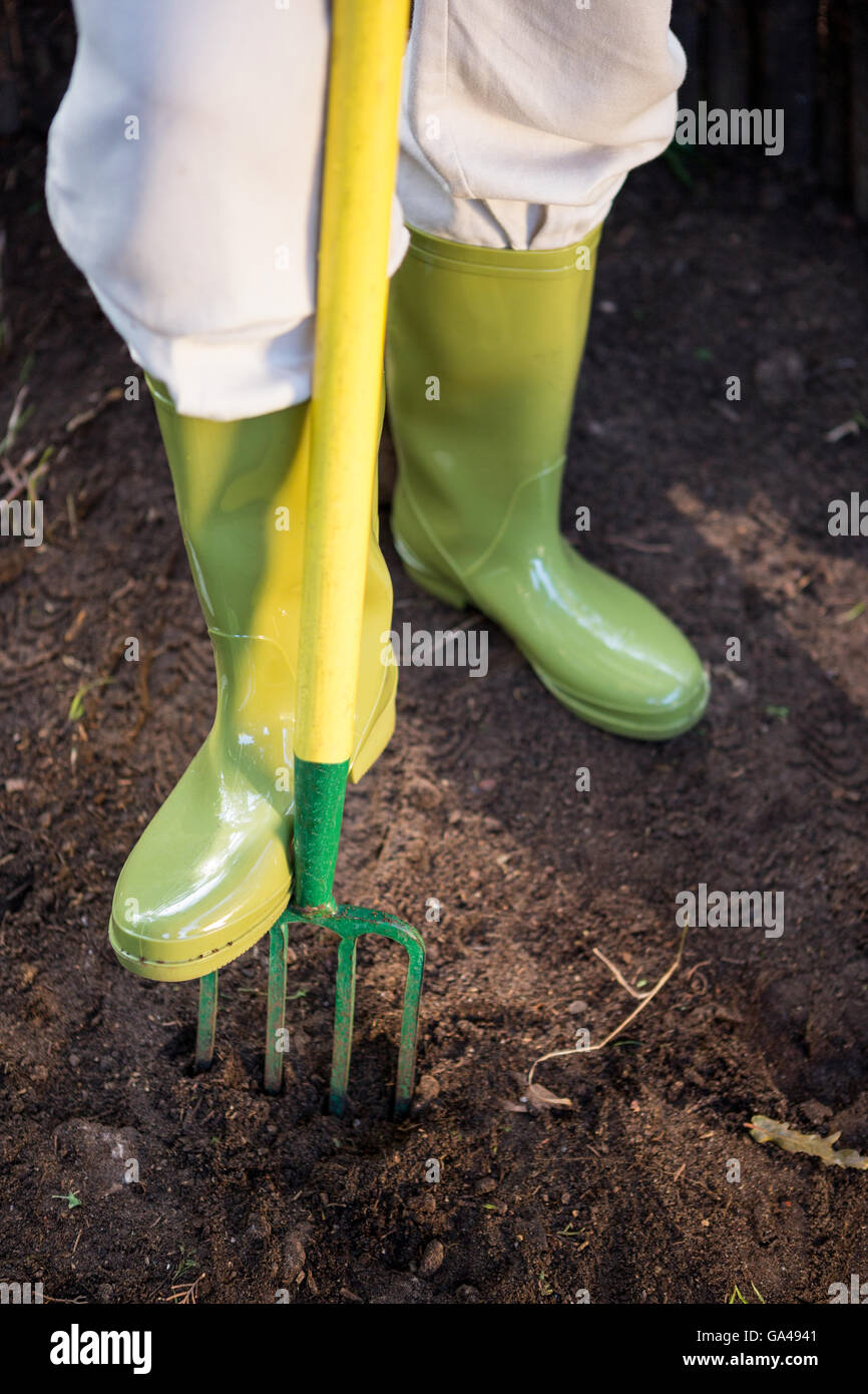 Farm to fork hi-res stock photography and images - Alamy