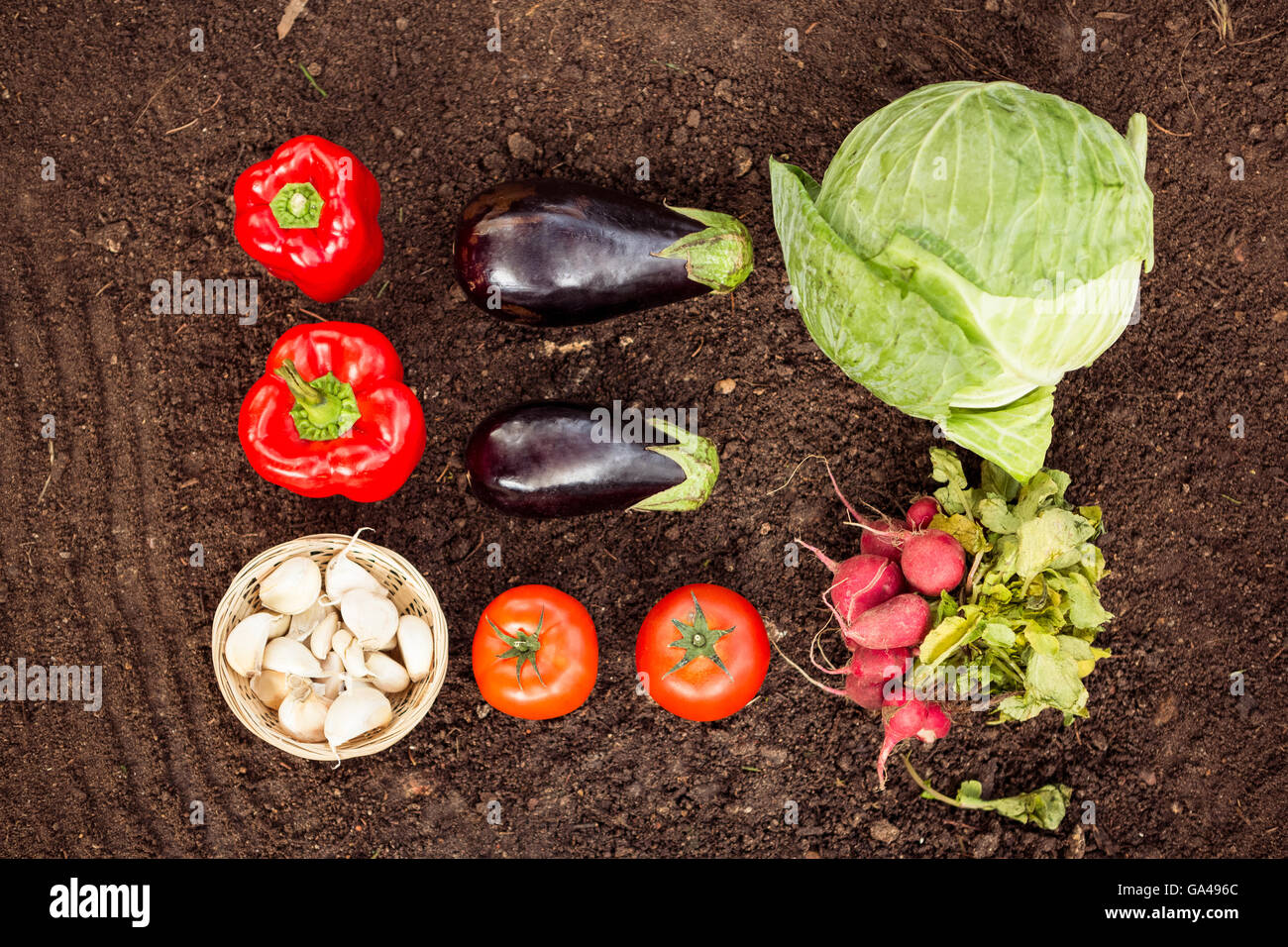 Garden overhead hi-res stock photography and images - Alamy