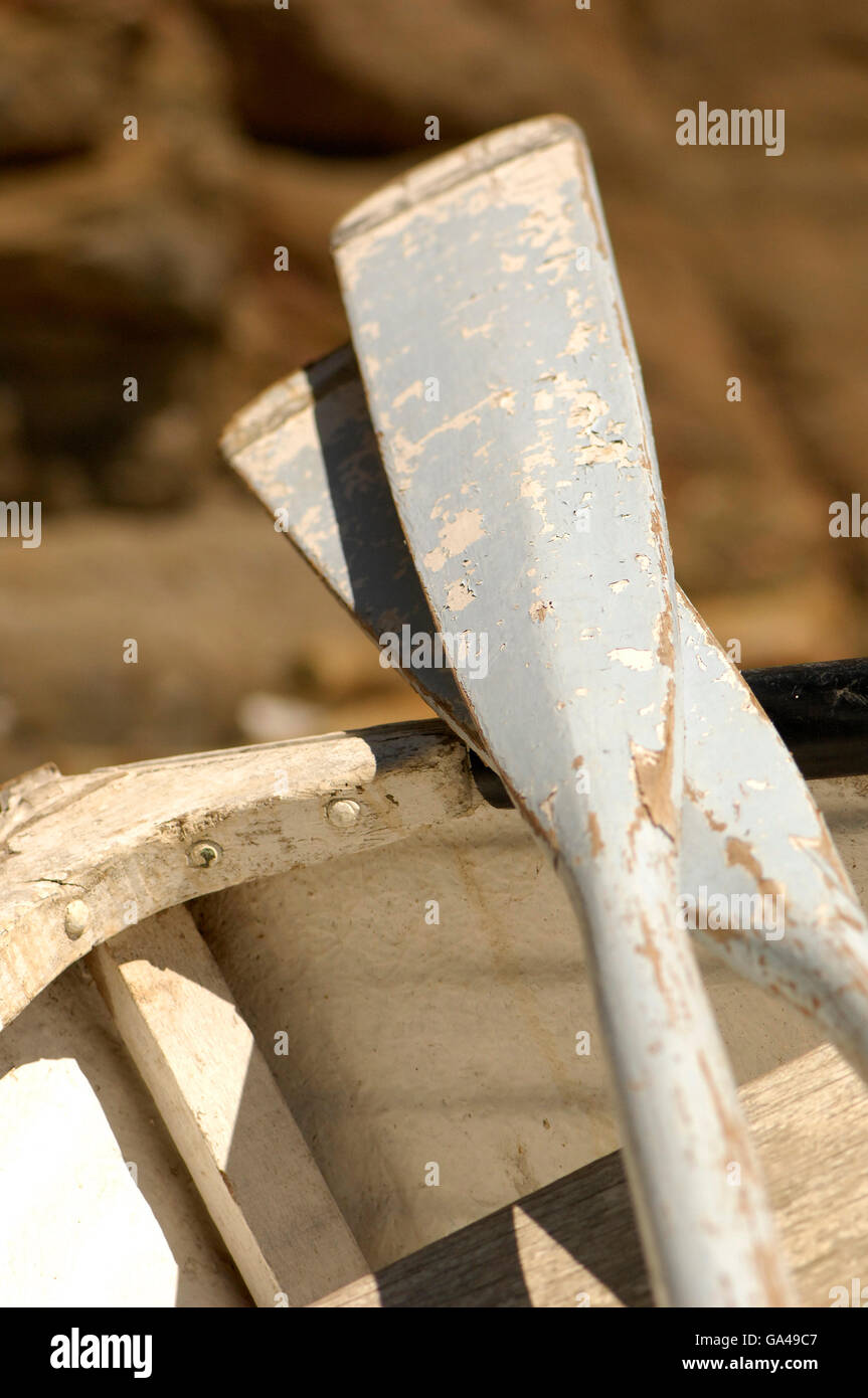 pair of wooden Oars Stock Photo - Alamy