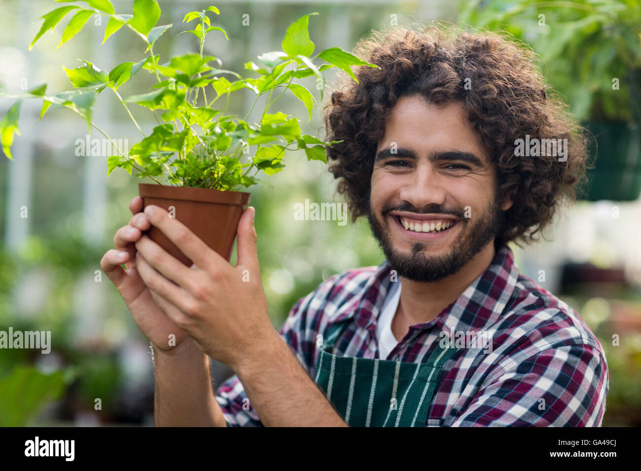 Smiling young male gardener holding potted plant Stock Photo - Alamy