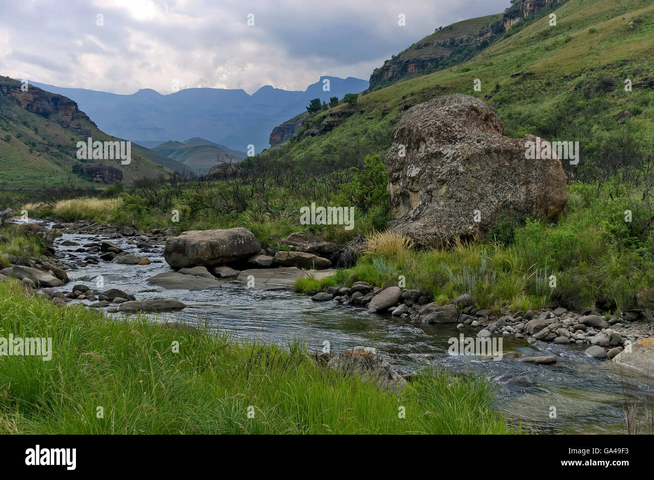 The Bushmans River valley in Giants Castle KwaZulu-Natal nature reserve ...
