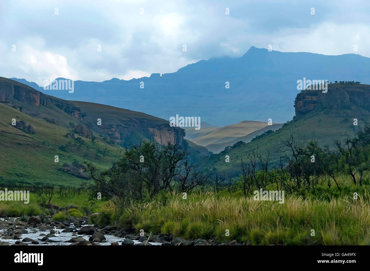 The Bushmans River valley in Giants Castle KwaZulu-Natal nature reserve ...