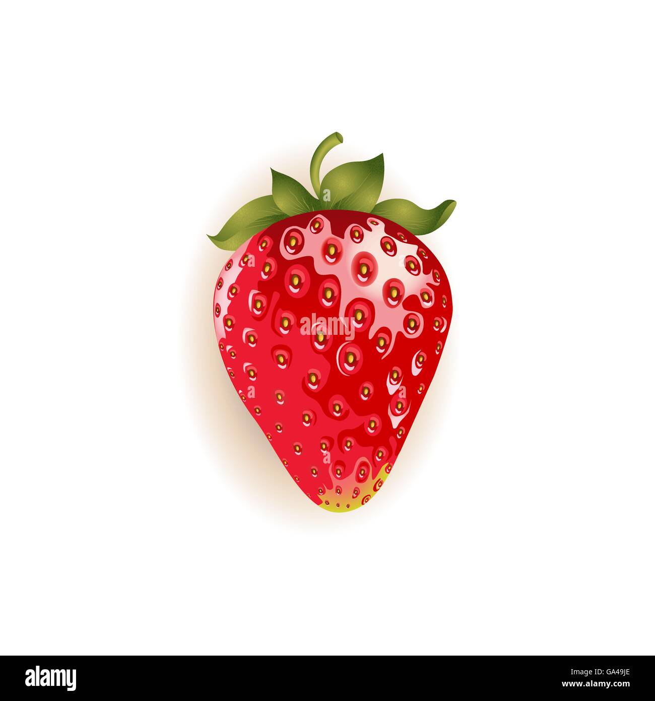 Strawberry food close up Stock Vector Images - Alamy
