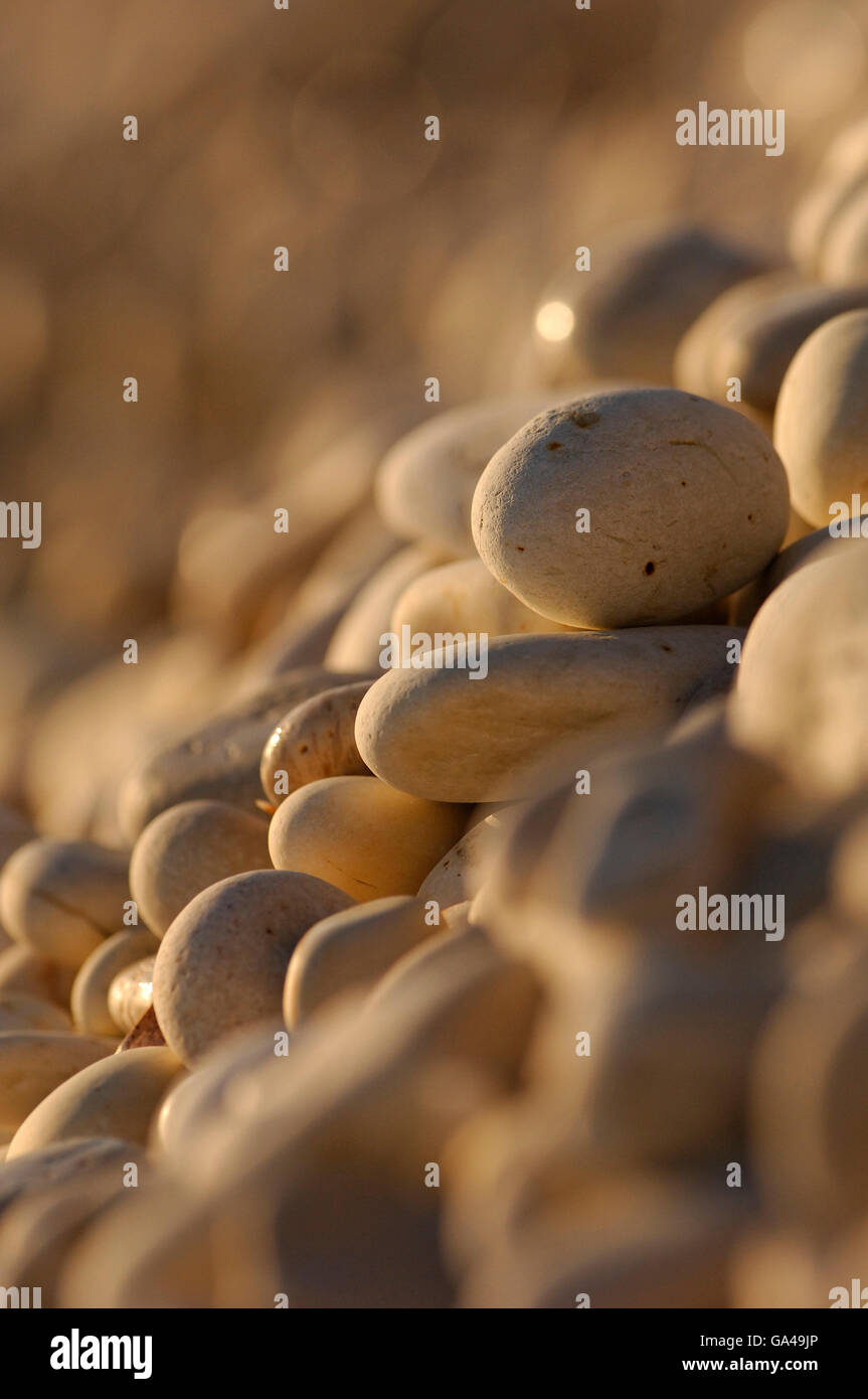 Pebbles on a beach Stock Photo - Alamy