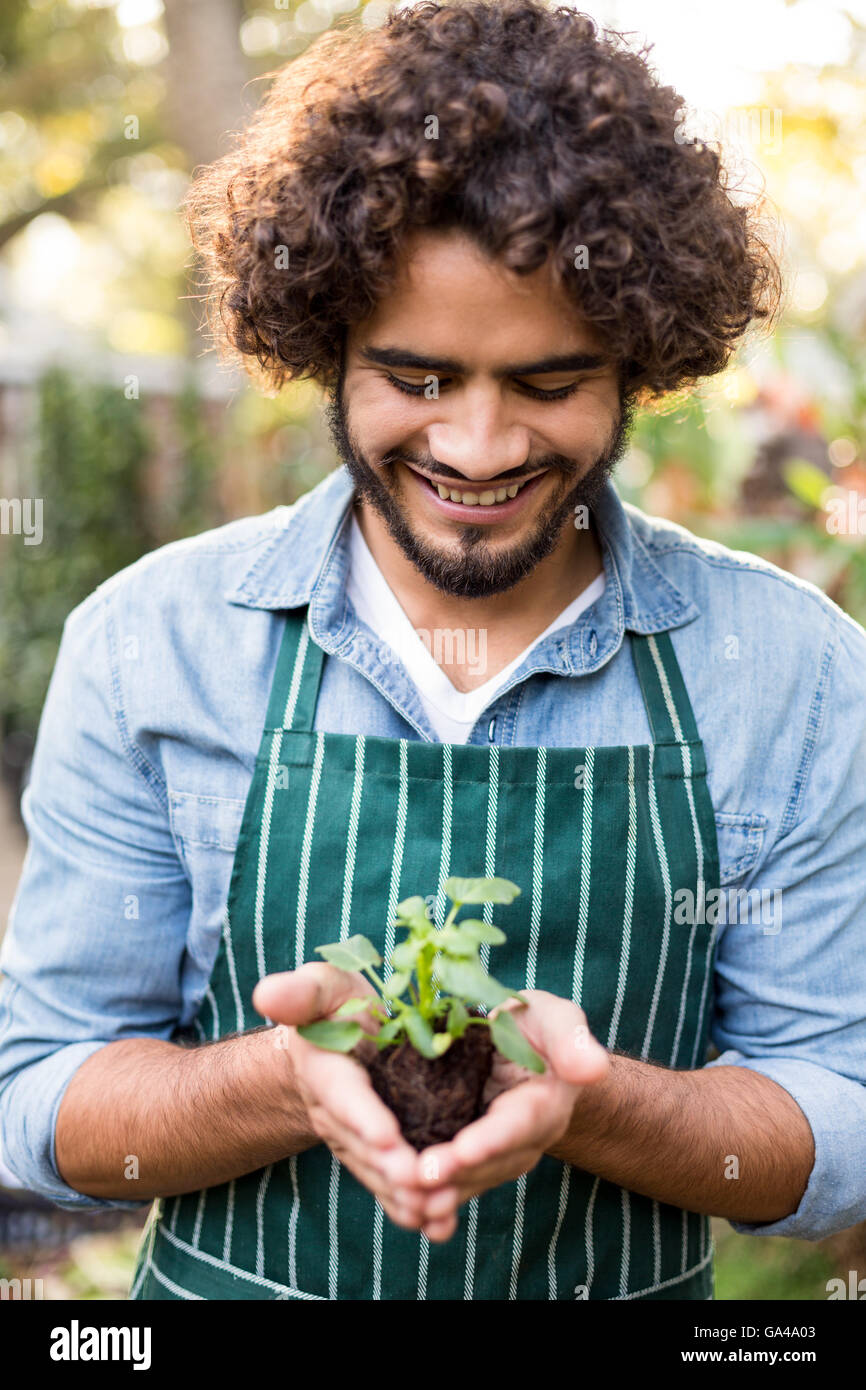 Male gardener holding sapling Stock Photo - Alamy