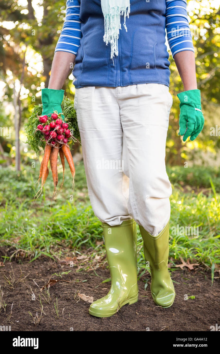 Low section of gardener with vegetables at garden Stock Photo - Alamy