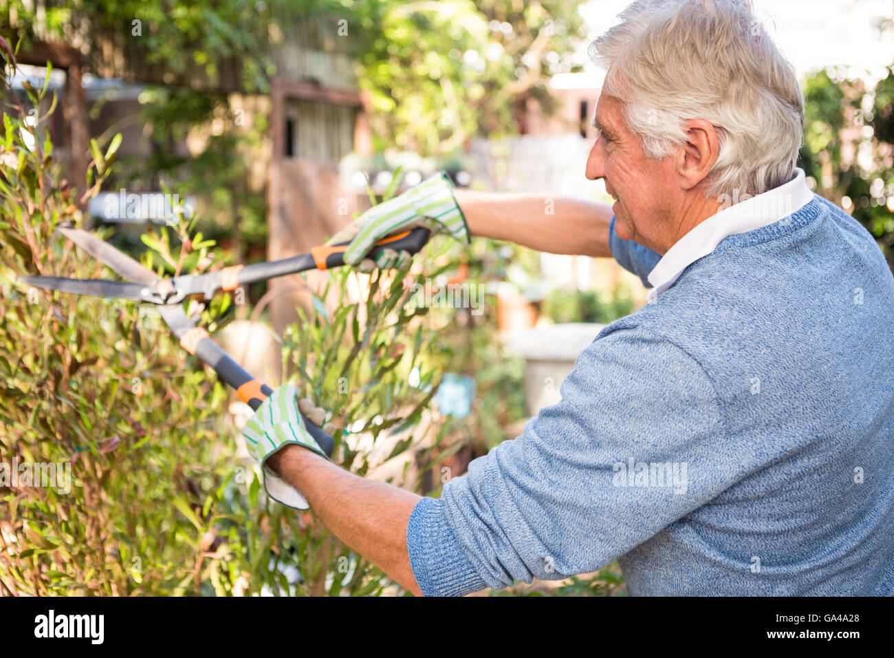 Side view of gardener using clippers at garden Stock Photo - Alamy