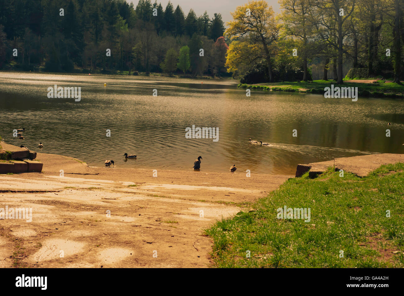Shearwater Lake - landscape Stock Photo - Alamy